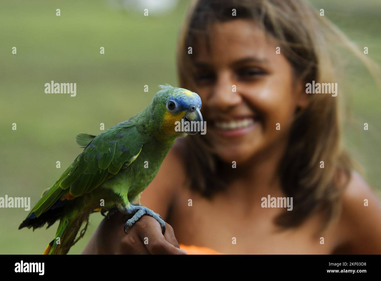 BRAZIL. NORDESTE. STATE OF MARANHENSES. LENCOIS NATIONAL PARK. PARROT ...