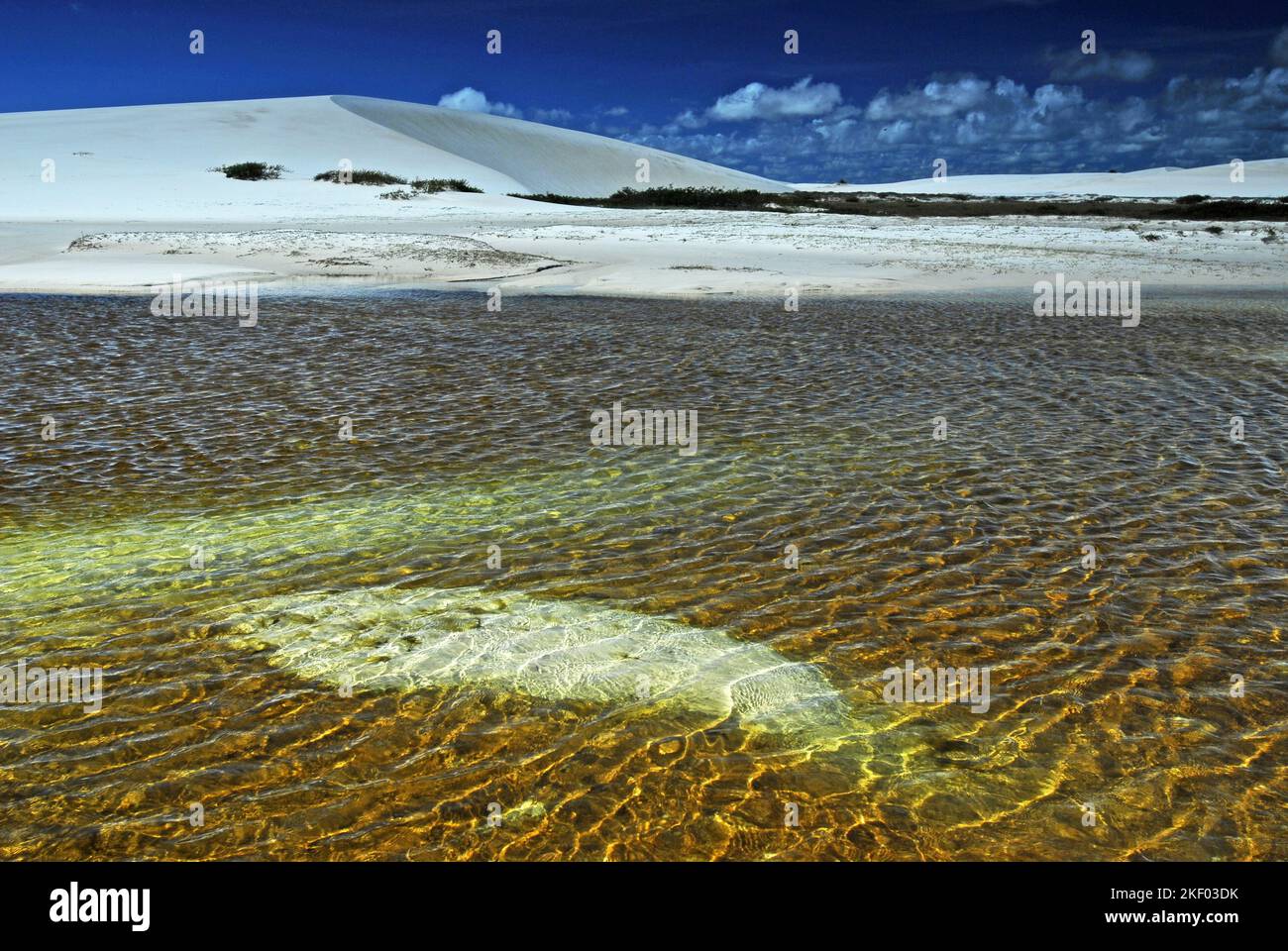 BRAZIL. NORDESTE. STATE OF MARANHAO. LENCOIS MARANHENSES NATIONAL PARK ...