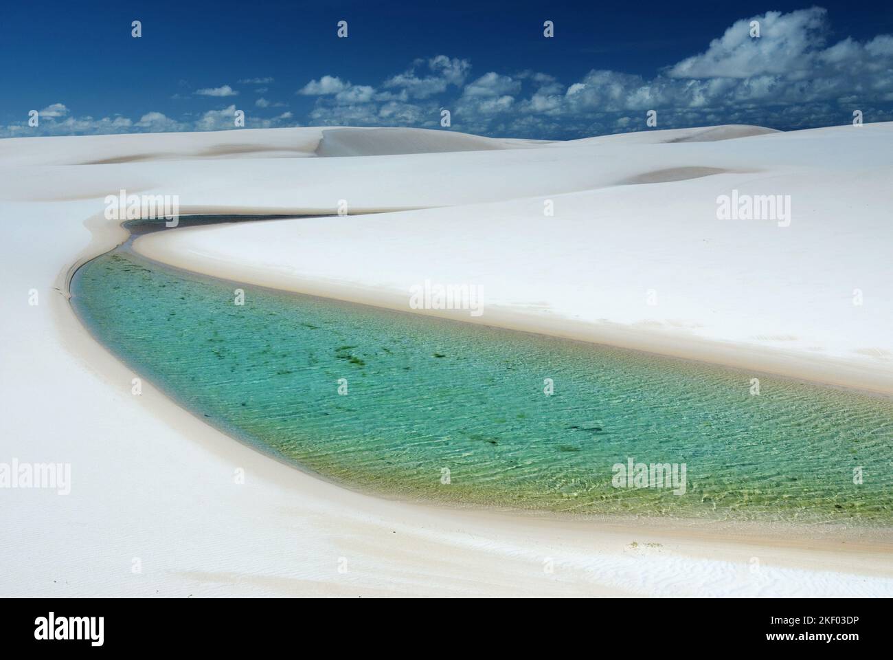 BRAZIL. NORDESTE. STATE OF MARANHAO. LENCOIS MARANHENSES NATIONAL PARK ...