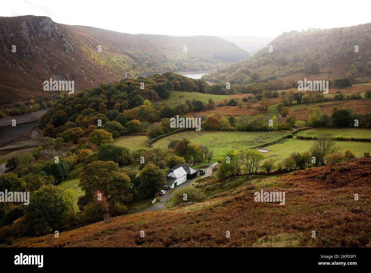 Traditional welsh cottage hi-res stock photography and images - Alamy