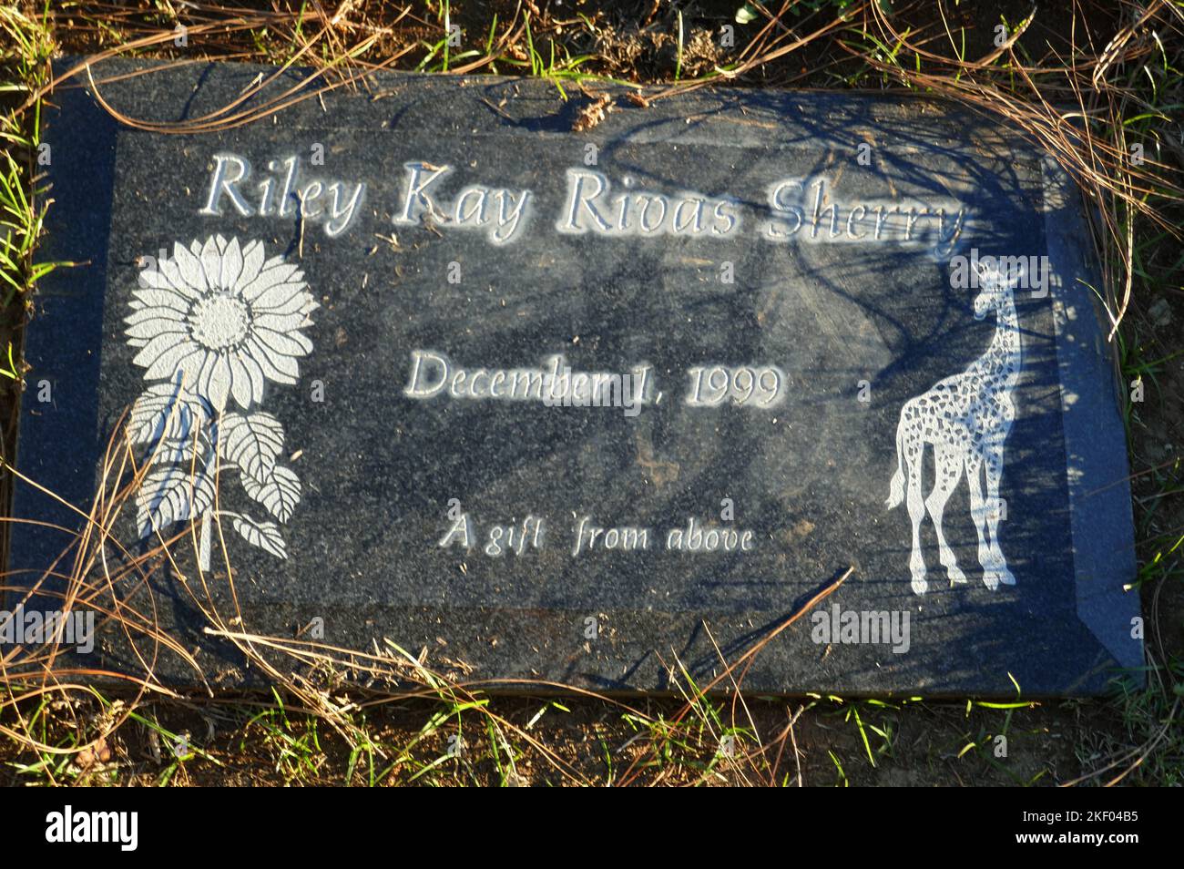 Los Angeles, California, USA 10th November 2022 Giraffe on grave stone ...