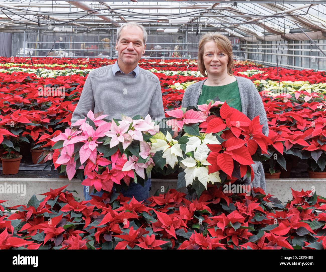 Bargteheide, Germany. 15th Nov, 2022. Master florists Kai and Birte ...
