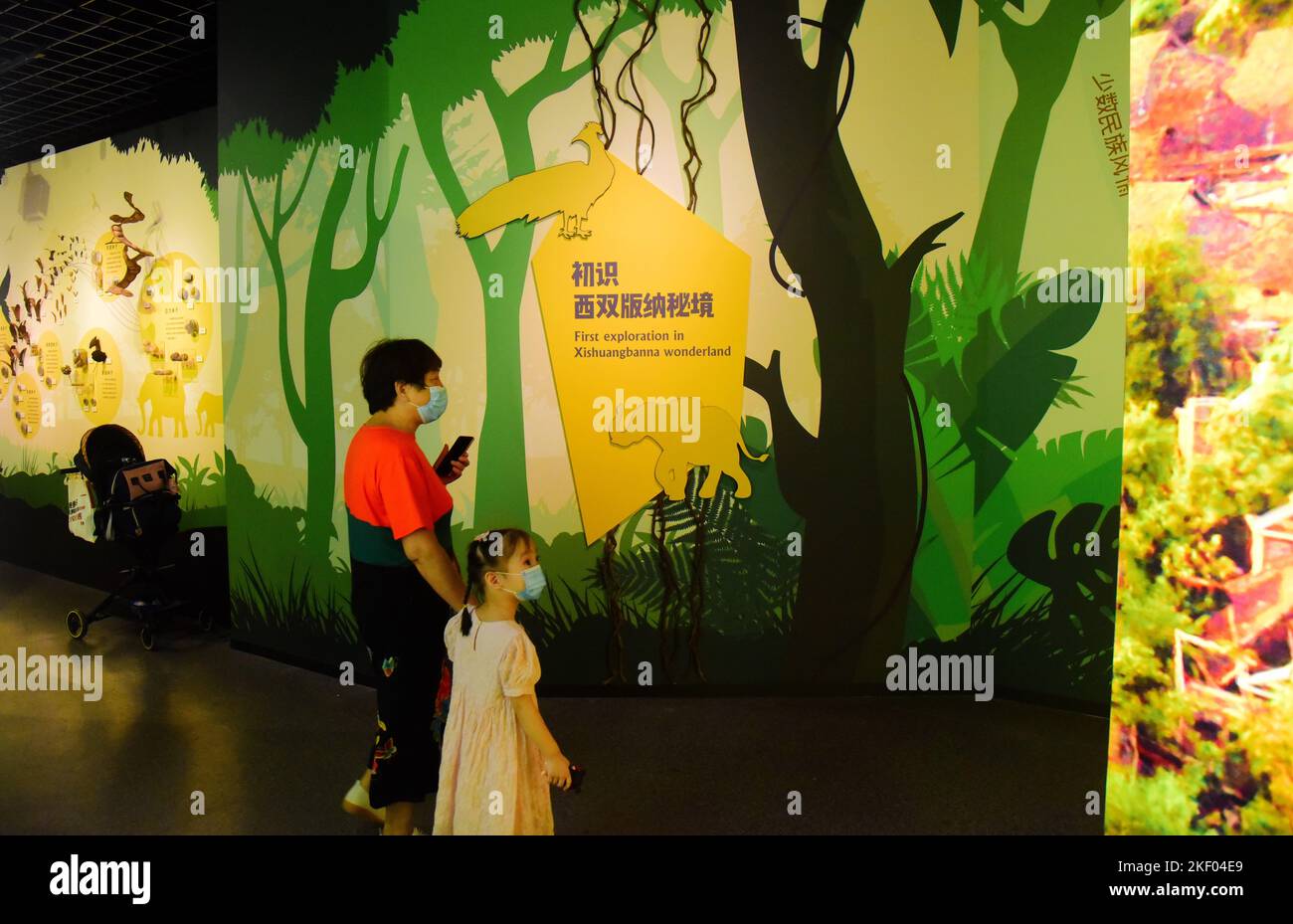 Visitors are watching the exhibits at the Xishuangbanna Tropical ...