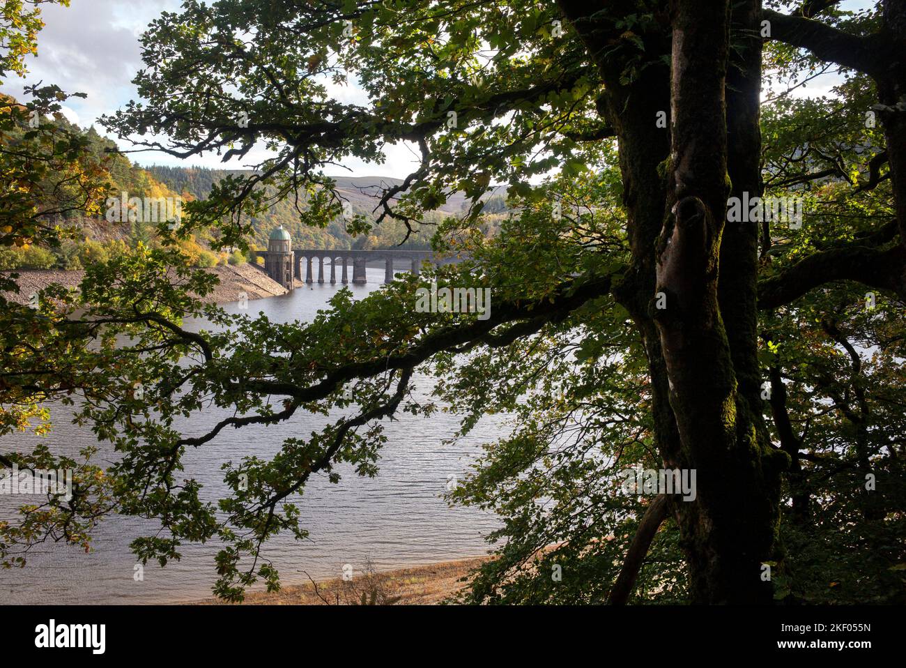 View of welsh reservoir through trees in summer Stock Photo - Alamy
