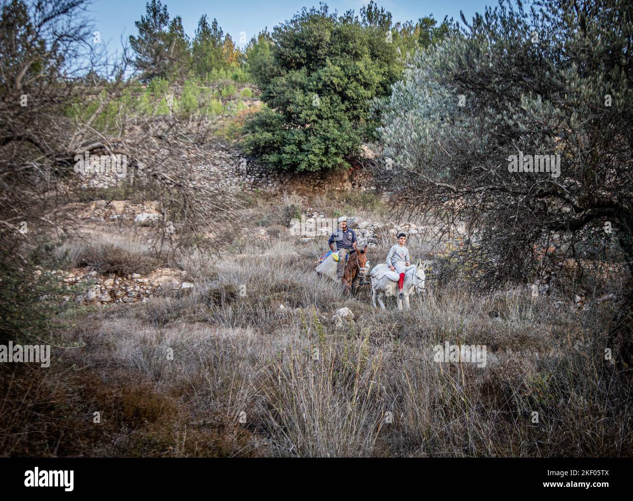 Hisham abu ali hi-res stock photography and images - Alamy