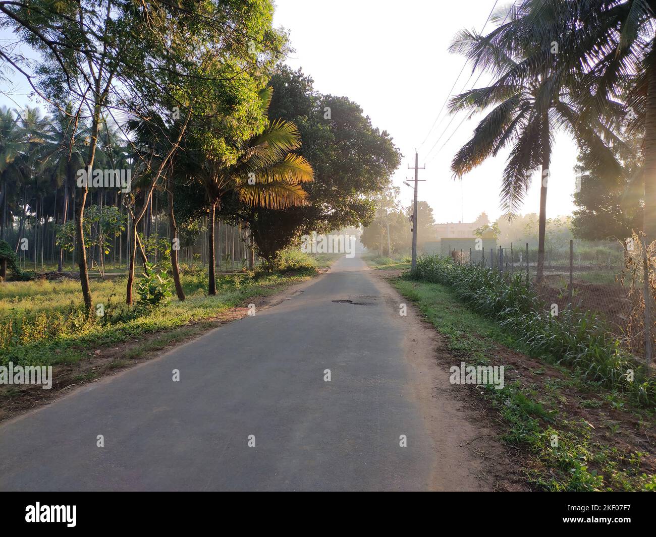 A rural pathway winding through fields towards the forest, accompanied ...