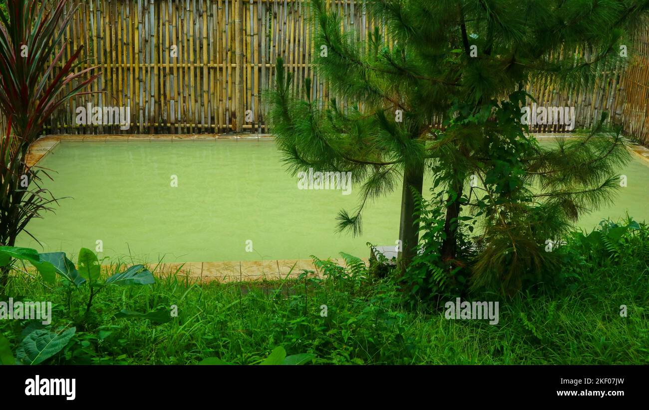 beautiful hot spring pool with greenery Stock Photo - Alamy
