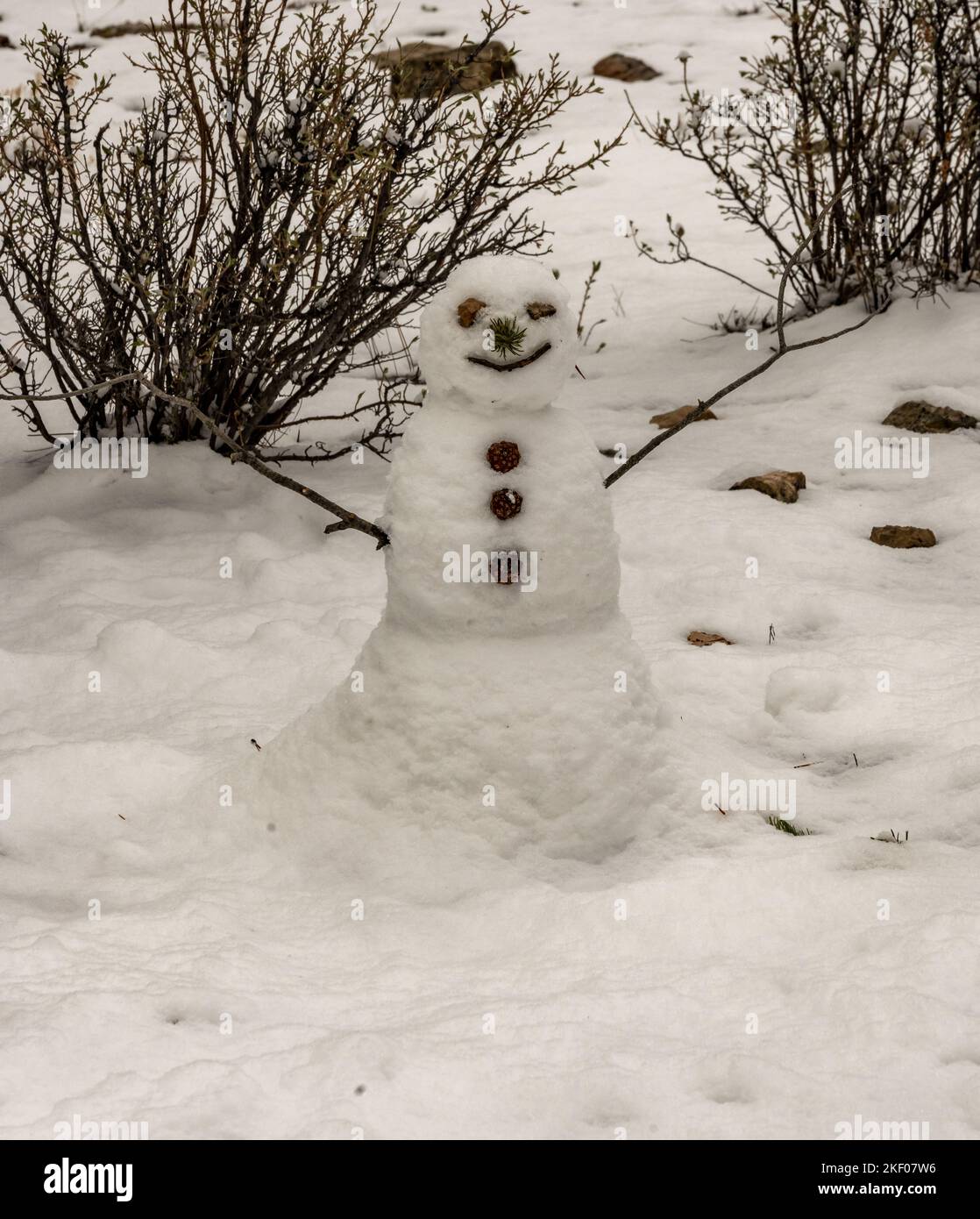 Tiny Snow Man In Fresh Snow along the Grand Canyon South Rim Stock ...