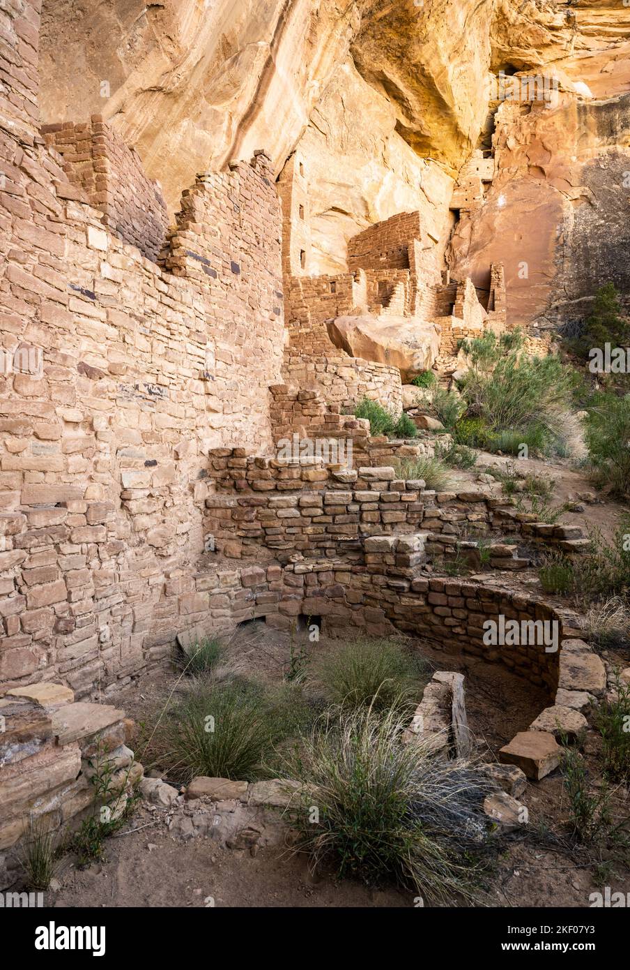 The Birds Nest Sits High Over Square House Tower in Mesa Verde Stock ...