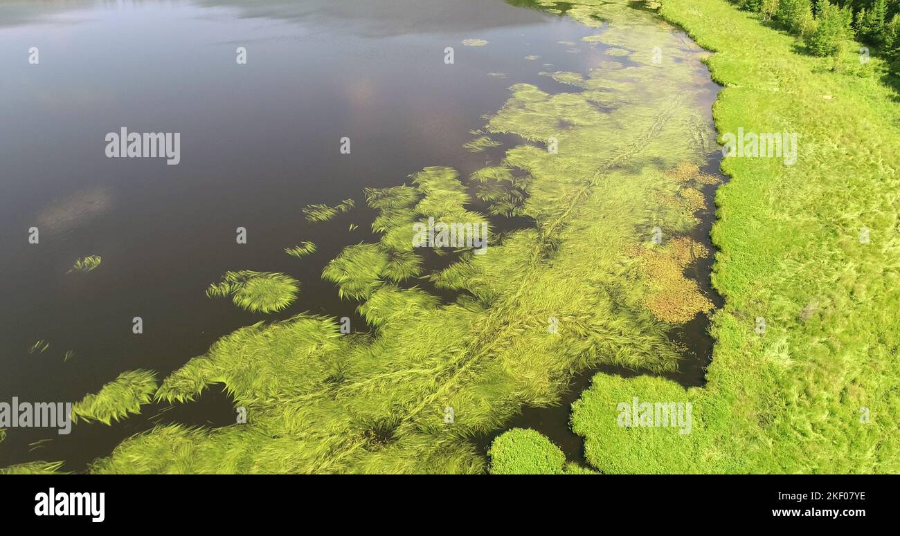 Aerial photos show the Heaven Lake of Arxan in Arxan City, north China ...