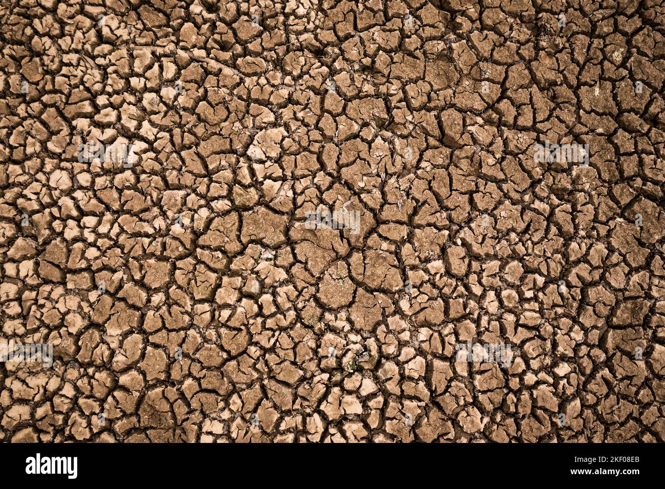 Droughty earth with deep cracks, the soil after the water draining ...