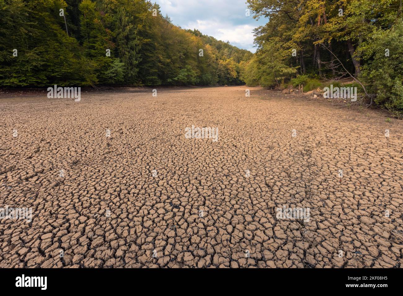 Dry riverbed with cracked mud in hot summer Stock Photo - Alamy