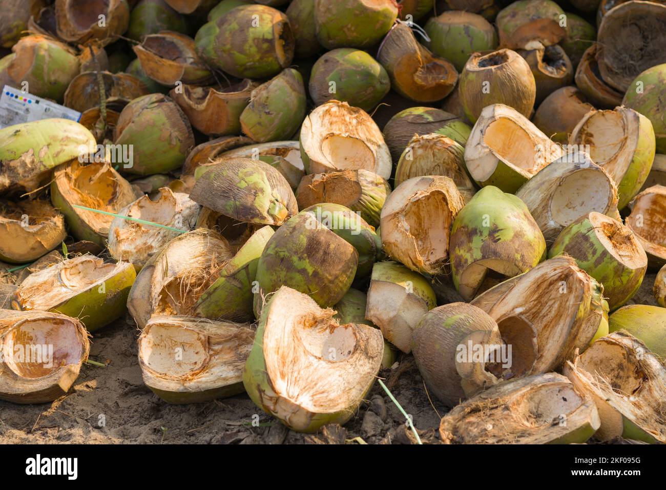 Coco husk hi-res stock photography and images - Alamy