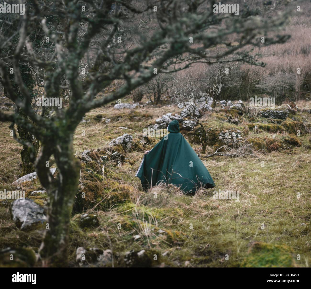 Eagles rock burren national park hi-res stock photography and images ...