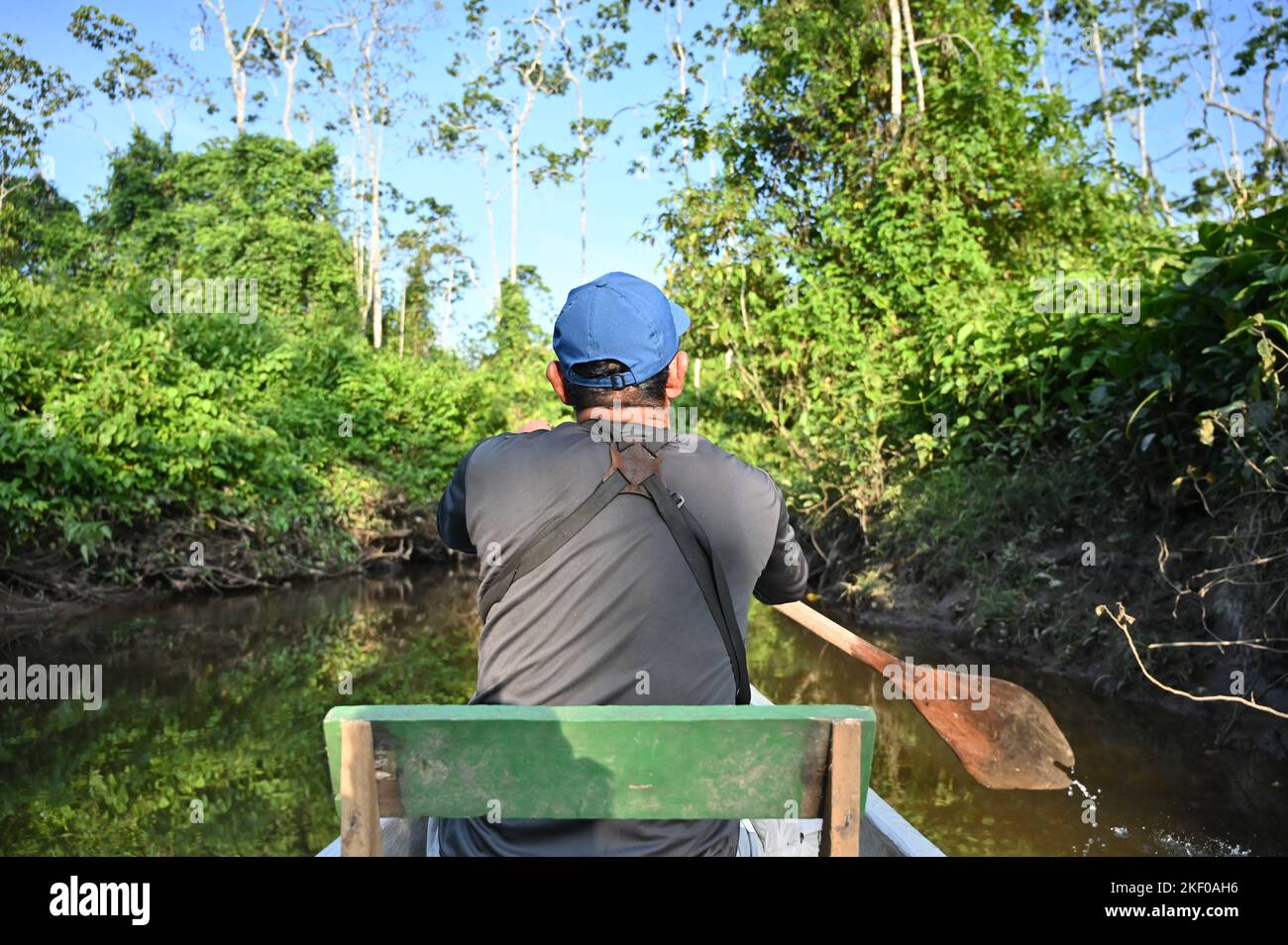 Ecuador, Amazon Rainforest, Rio Napo, Near Coca, an Ecuadorian drives a ...