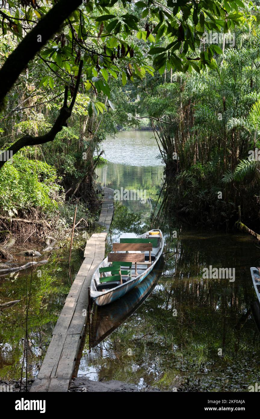 Ecuador, Amazon Rainforest, Rio Napo, Near Coca, in the Yasuni National ...