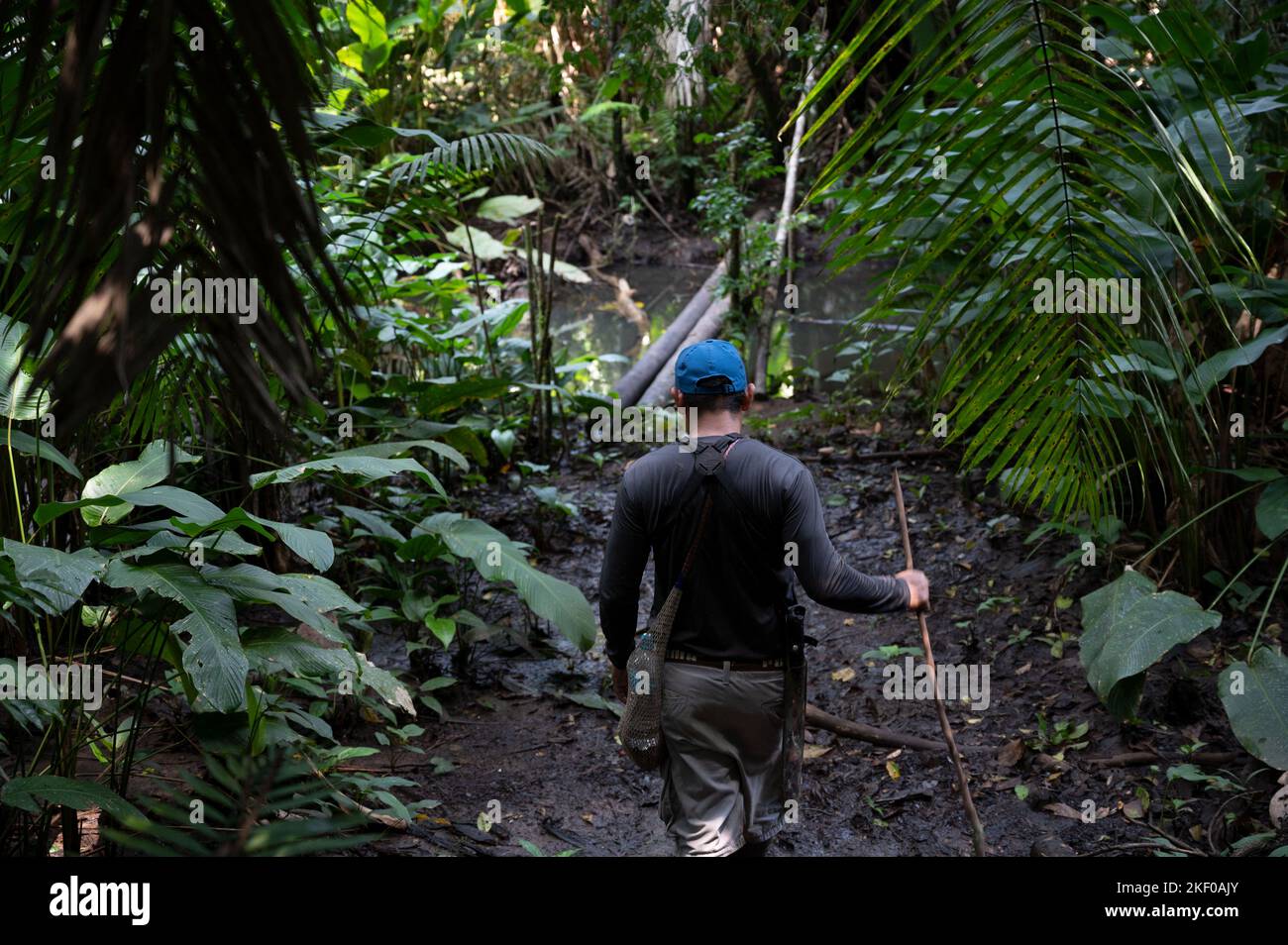 Ecuador’s amazon rainforest hi-res stock photography and images - Alamy