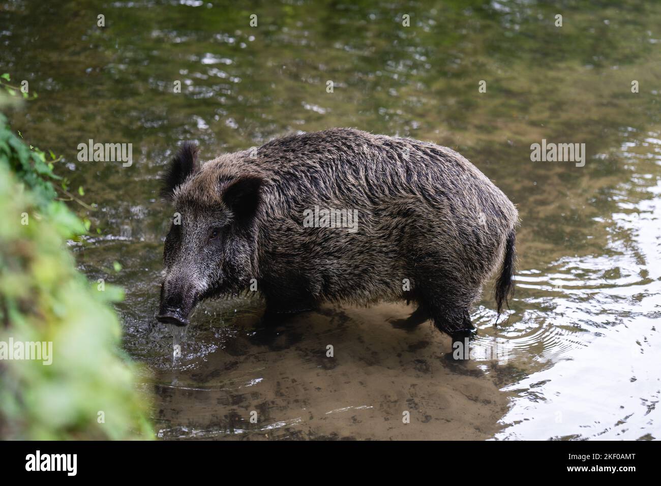 Widest ranging hi-res stock photography and images - Alamy