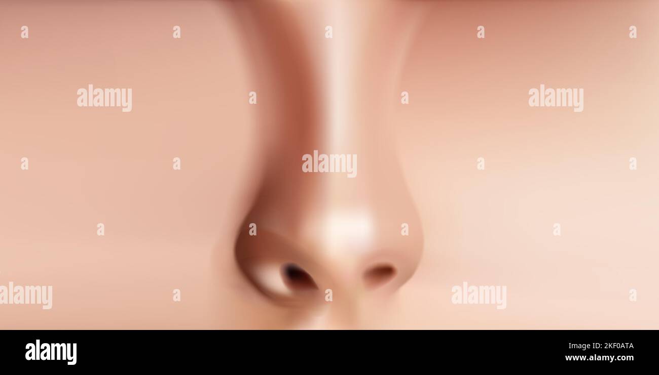 Human nose realistic front view Vector Illustration Stock Vector Image ...