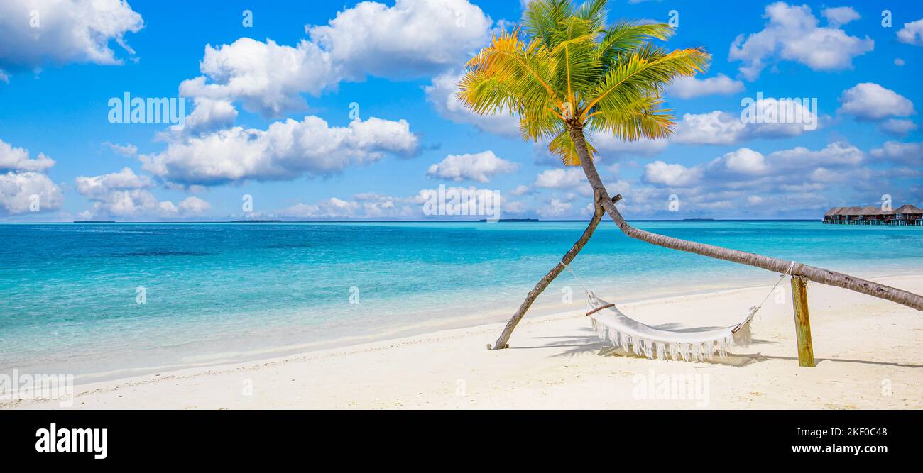 Paradise beach, relax landscape with beach swing or hammock on coconut ...