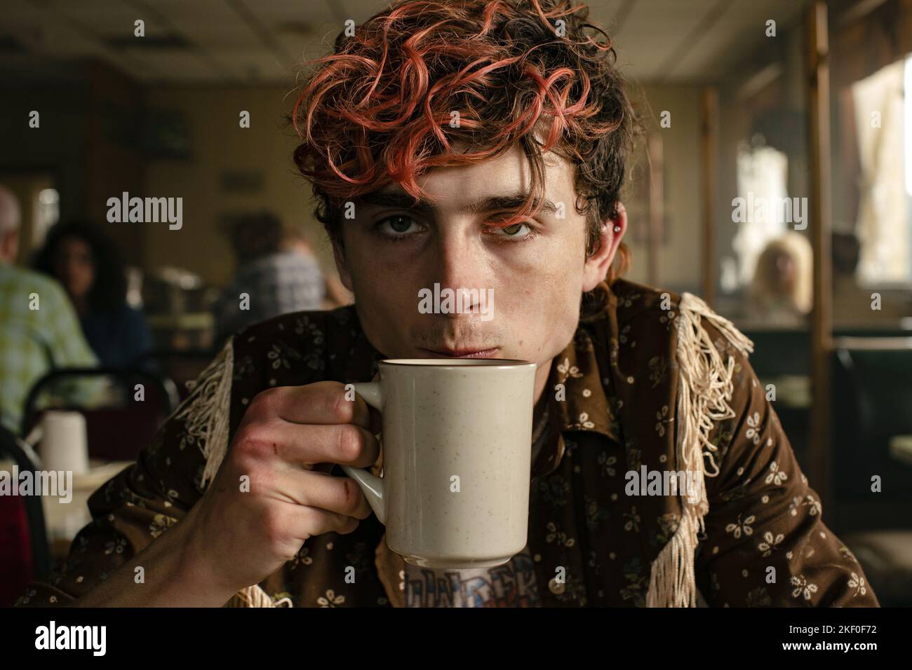 Bones and All Timothee Chalamet Stock Photo - Alamy