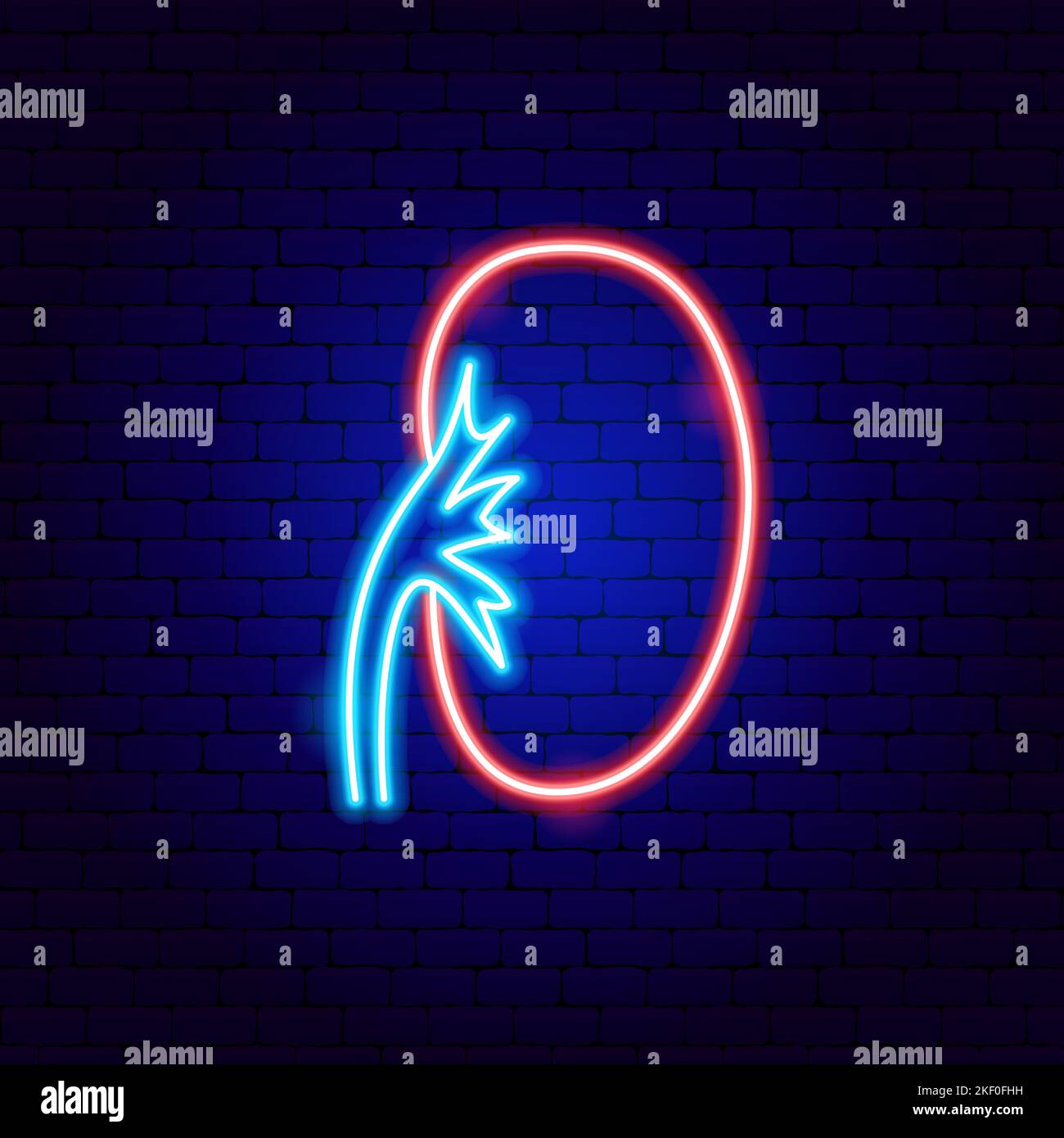 Kidney Neon Sign Stock Vector Image & Art - Alamy