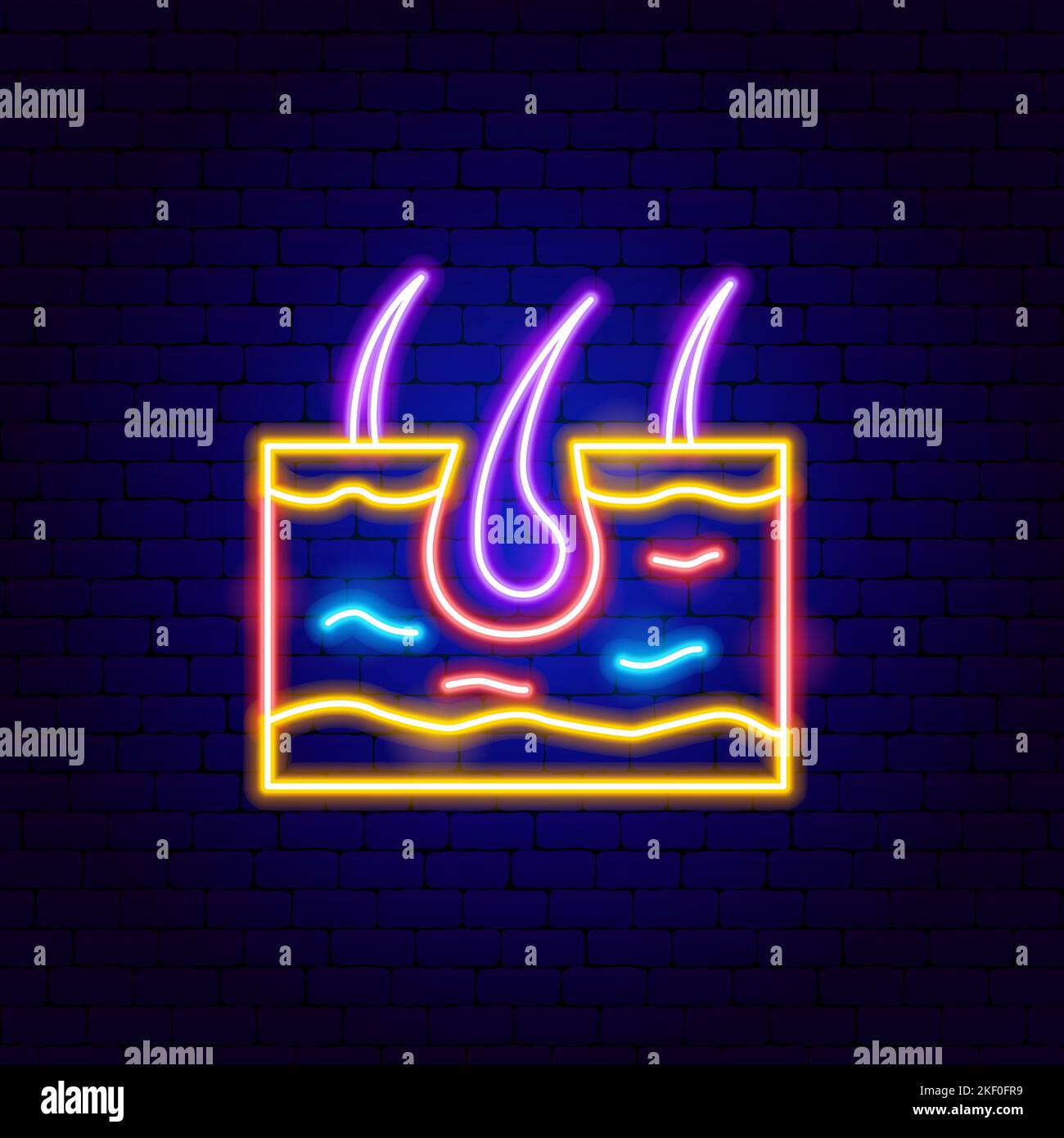 Human skin diagram hi-res stock photography and images - Alamy