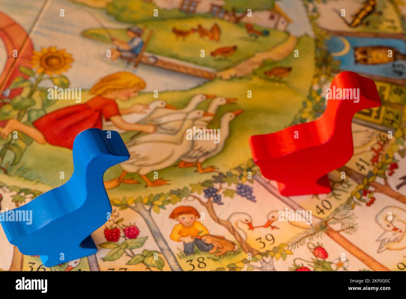 Den Helder, Netherlands. November 2022. The traditional Dutch goose ...