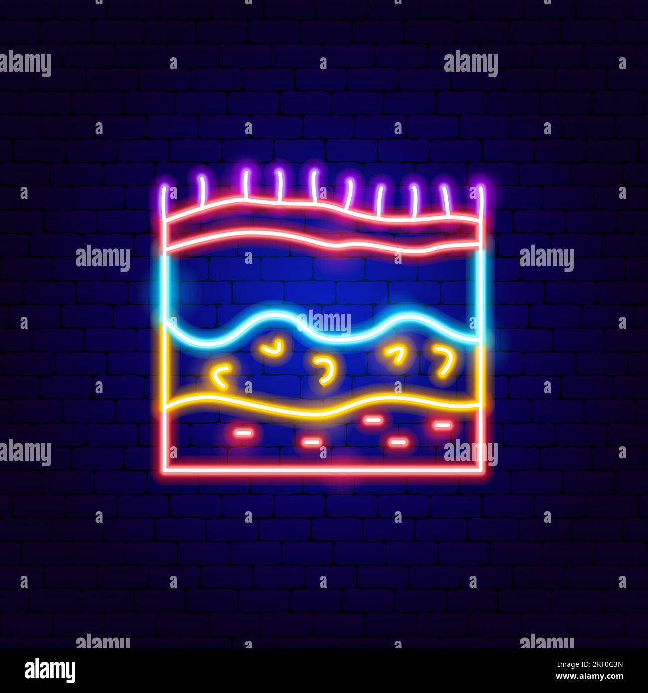 Skin Structure Neon Sign Stock Vector Image & Art - Alamy