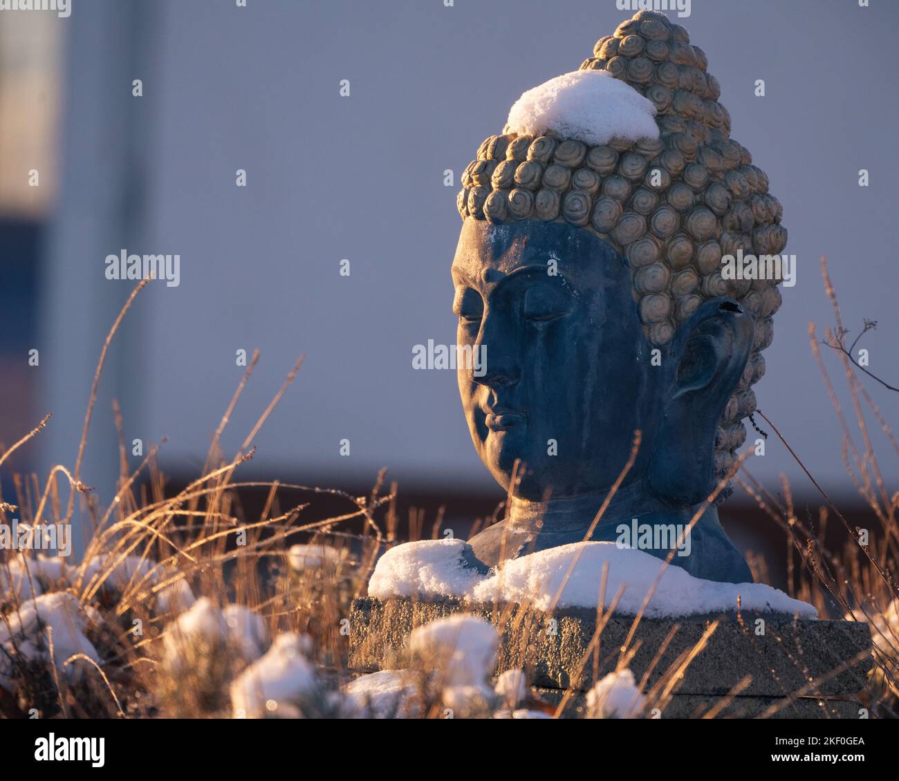 A fine image of a Buddha head stone statue in outdoors on a winter day ...