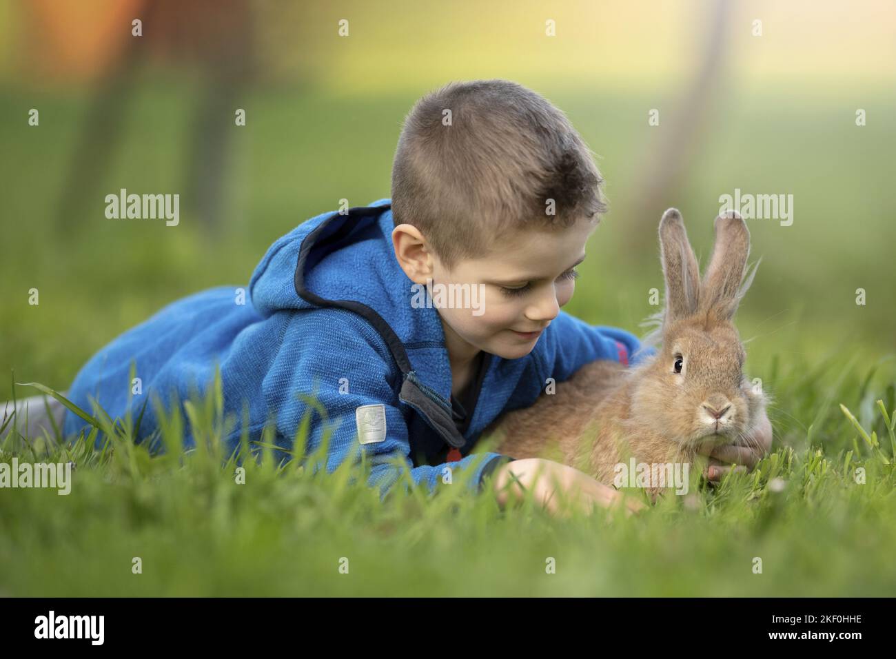 boy with rabbit Stock Photo - Alamy