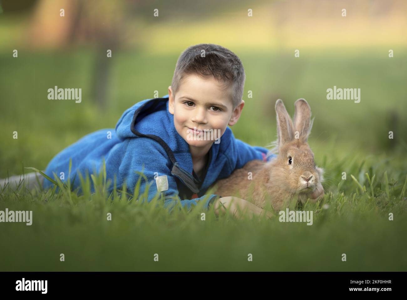 boy with rabbit Stock Photo - Alamy