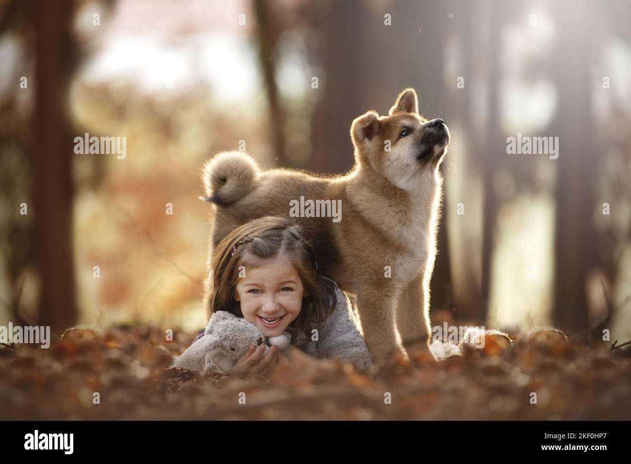 Girl With Akita Inu Puppy Stock Photo Alamy