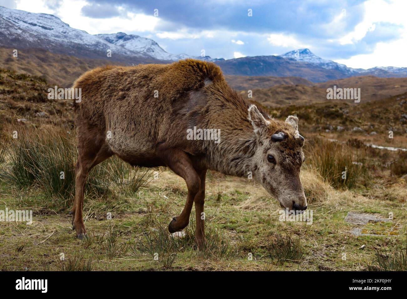 Scotland highlands torridon Stock Photo - Alamy