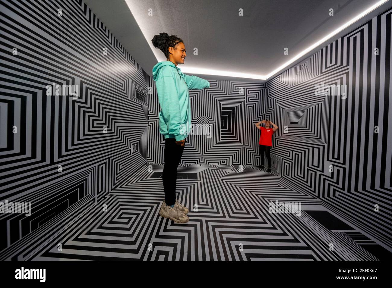Ames Room Construction Plans