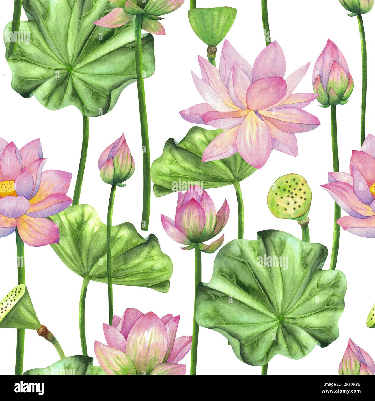 Seamless pattern with pink lotus flowers and leaves. Painted in ...