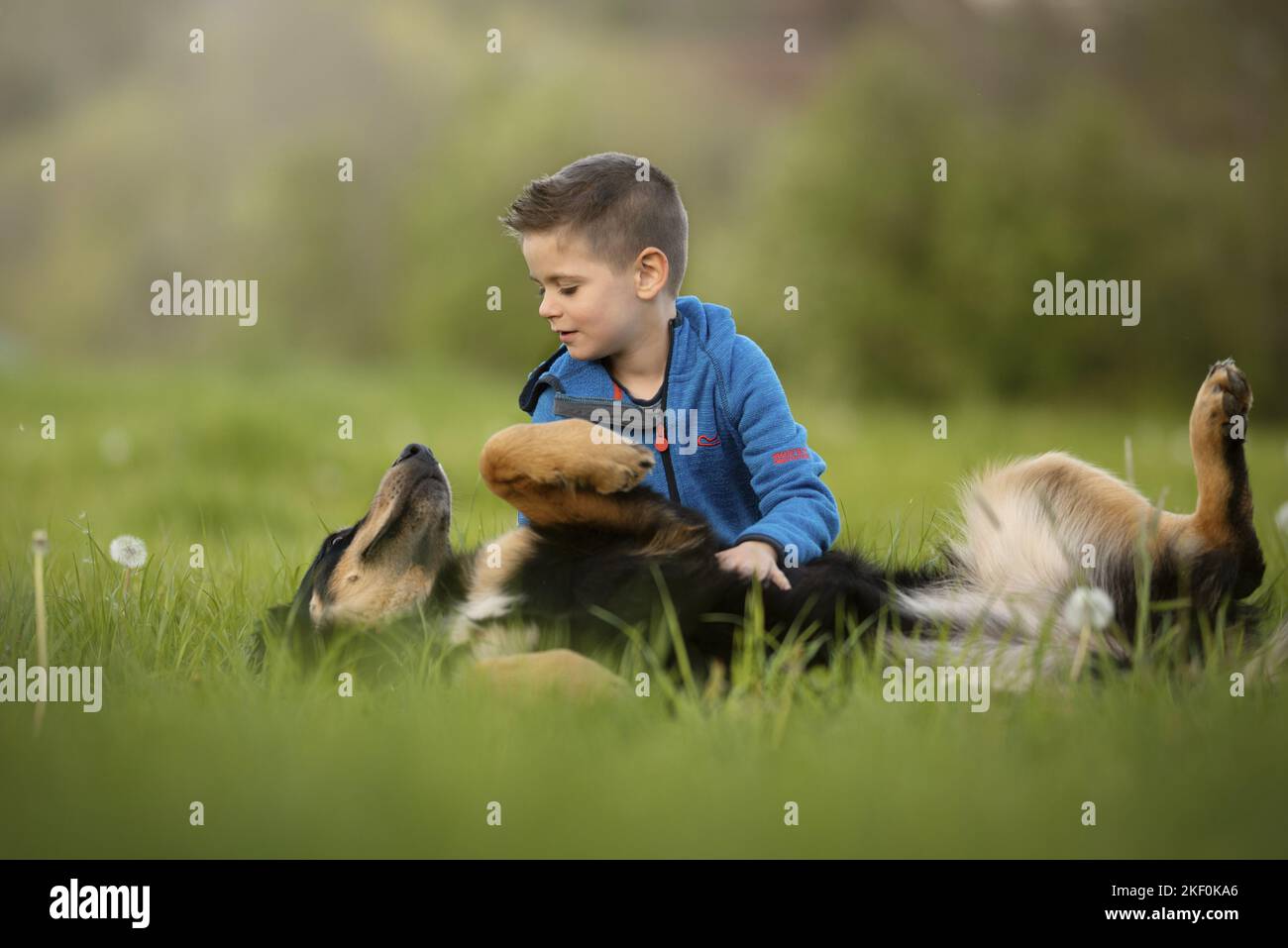 boy with Dog Stock Photo - Alamy