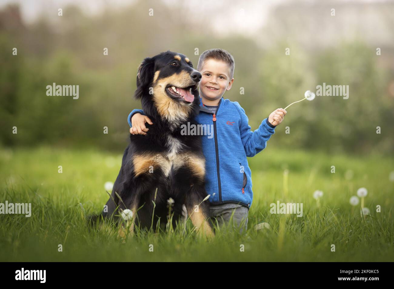 boy with Dog Stock Photo - Alamy