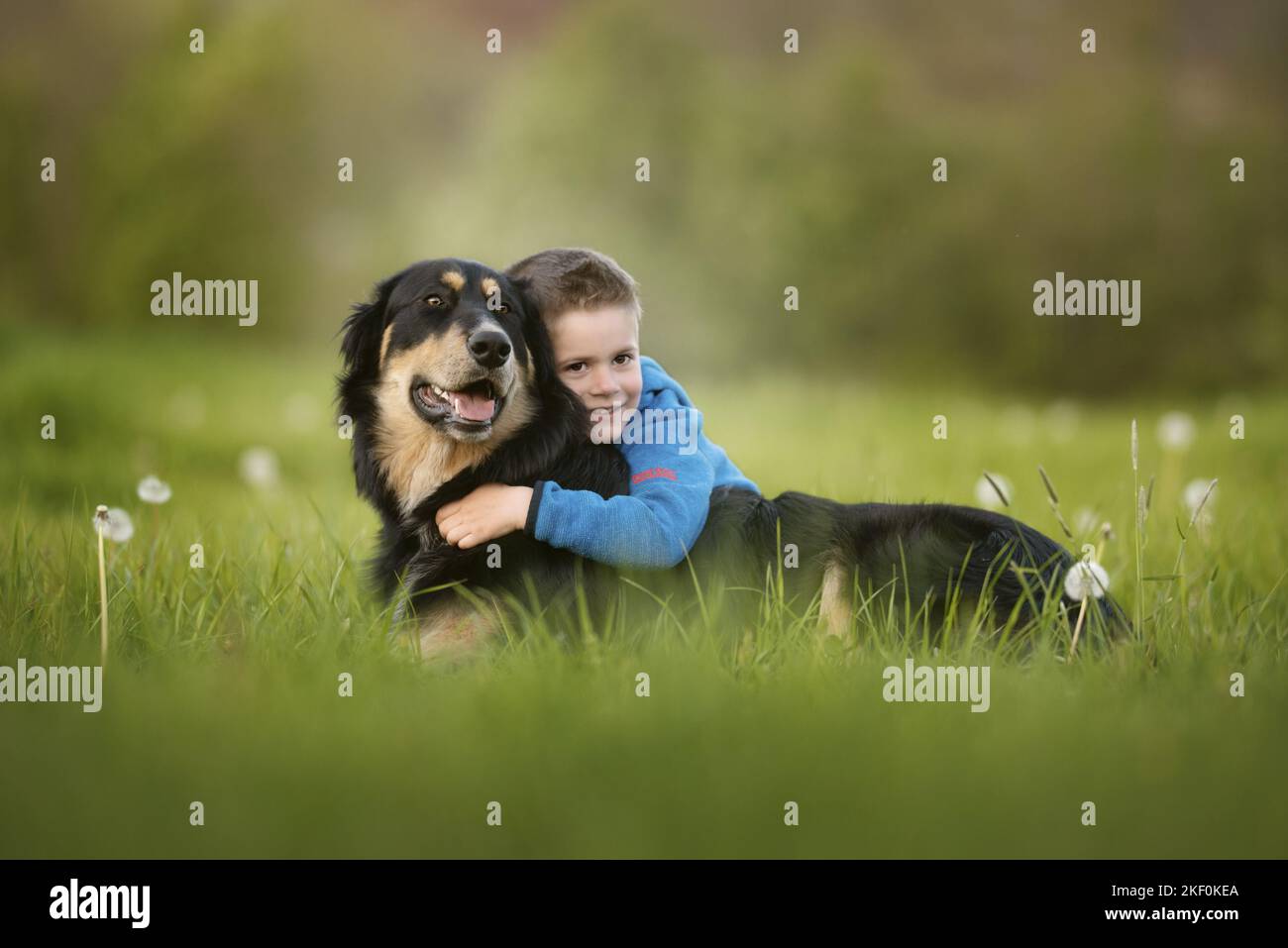 boy with Dog Stock Photo - Alamy