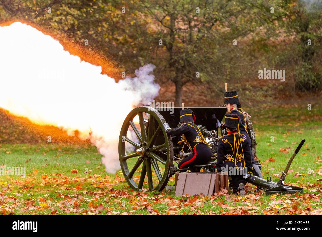 The Kings Troop Royal Horse Artillery carried out a 41 gun salute for ...