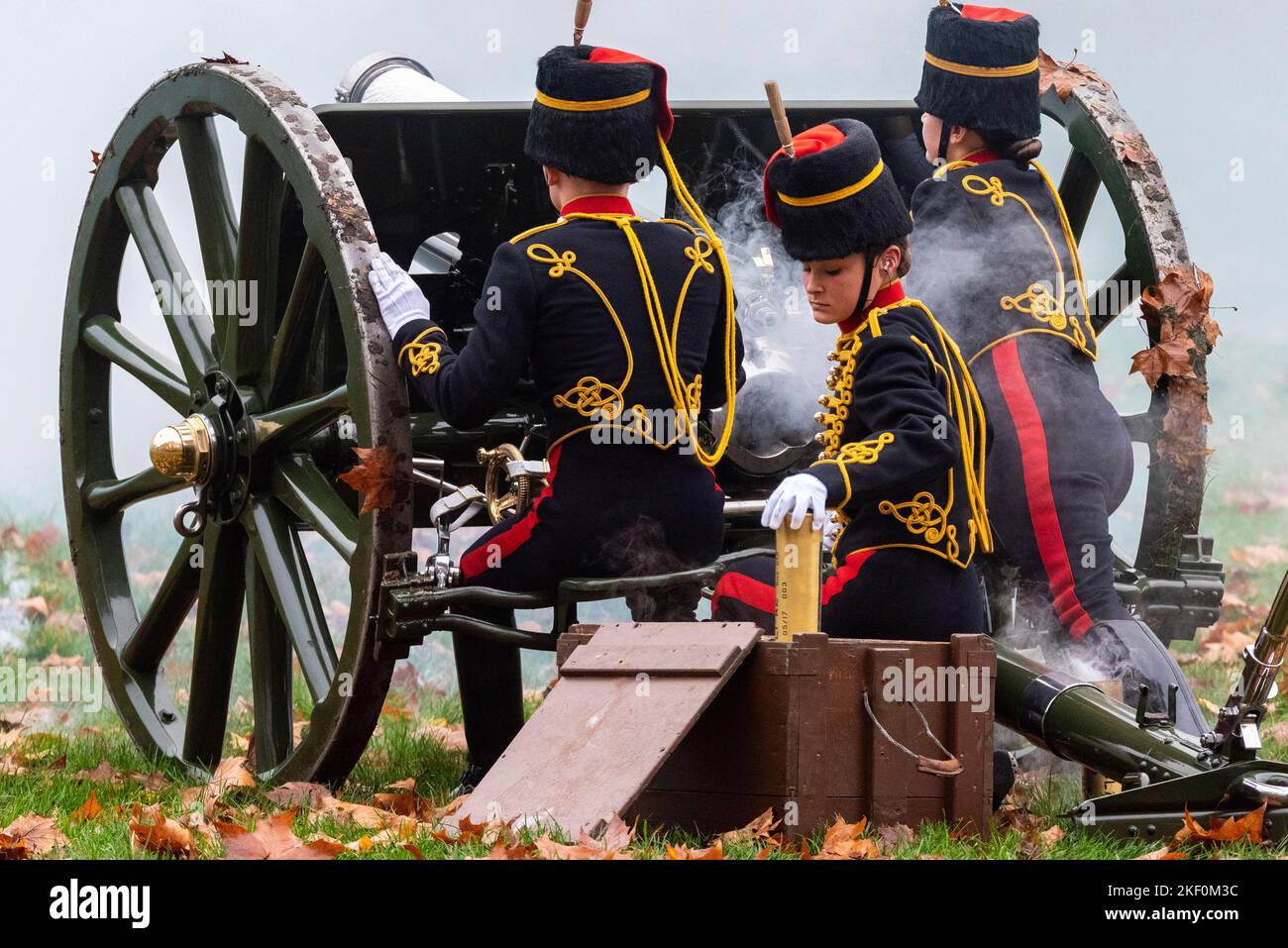 The Kings Troop Royal Horse Artillery carried out a 41 gun salute for ...