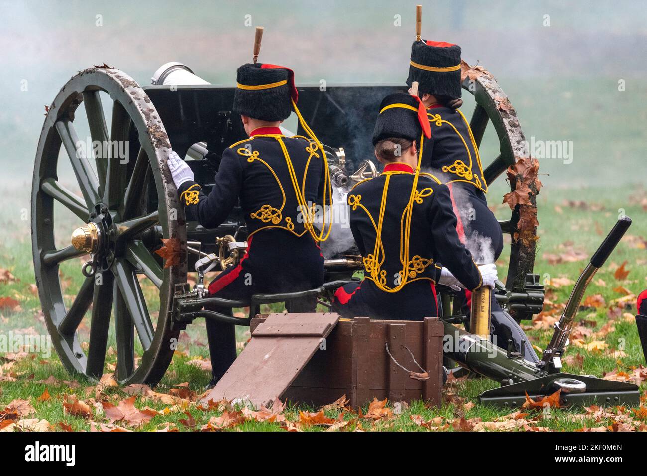 The Kings Troop Royal Horse Artillery carried out a 41 gun salute for ...