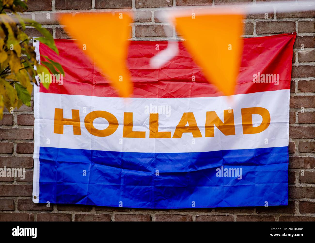 Netherlands Flag Orange