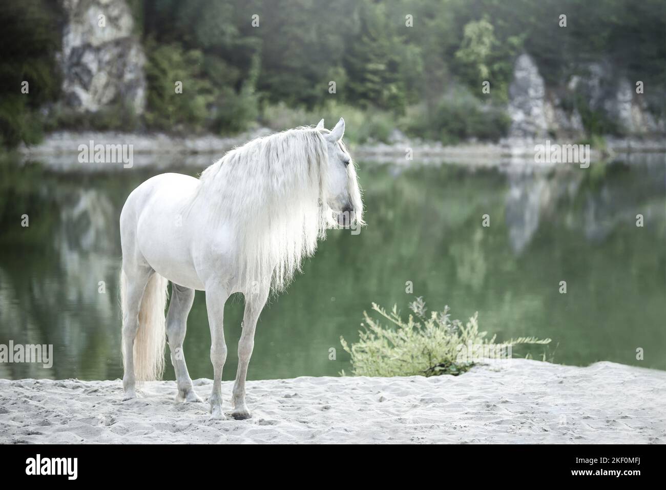 Pura Raza Espanola Stock Photo - Alamy