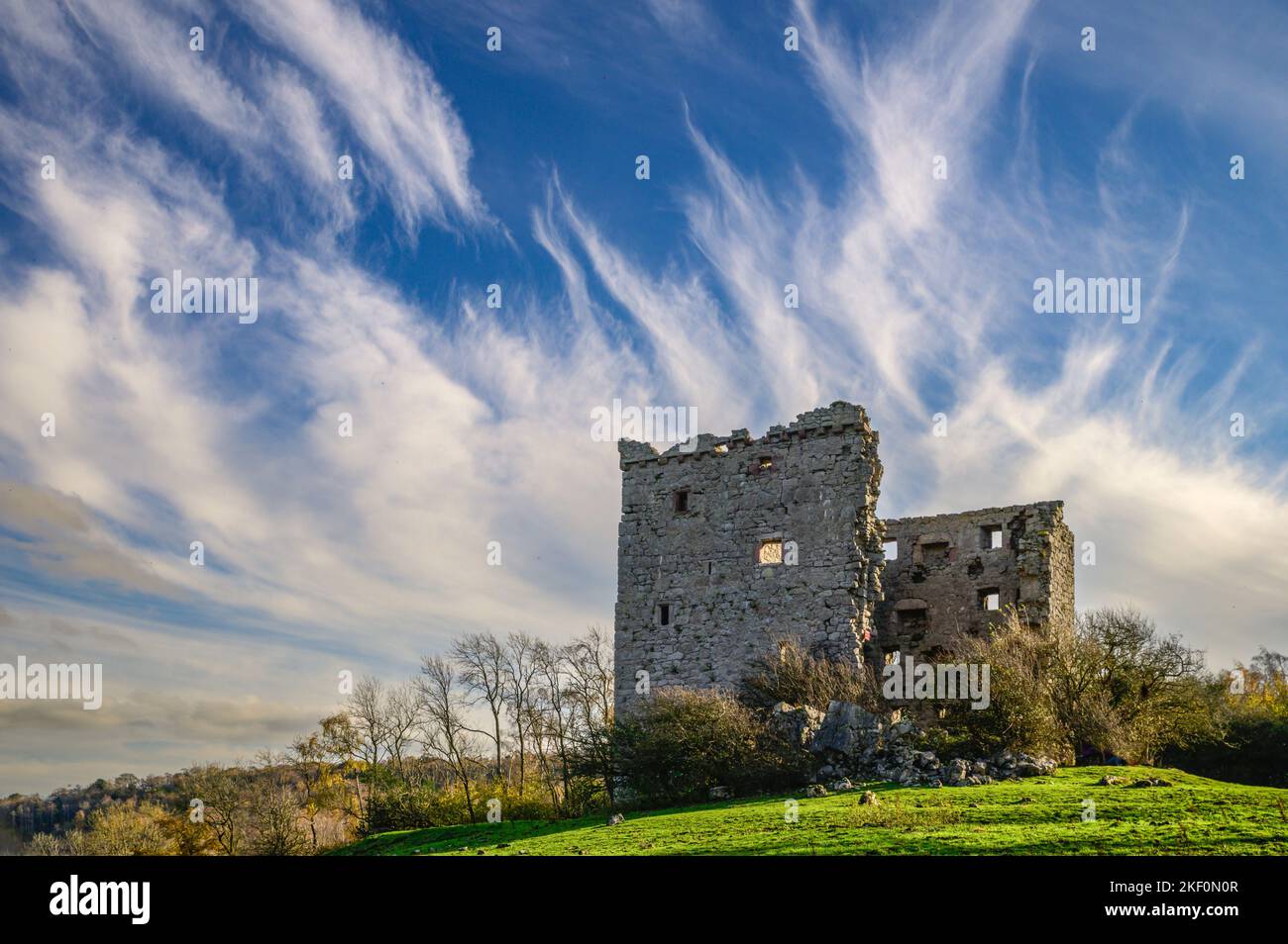 Cumbria natural history hi-res stock photography and images - Alamy