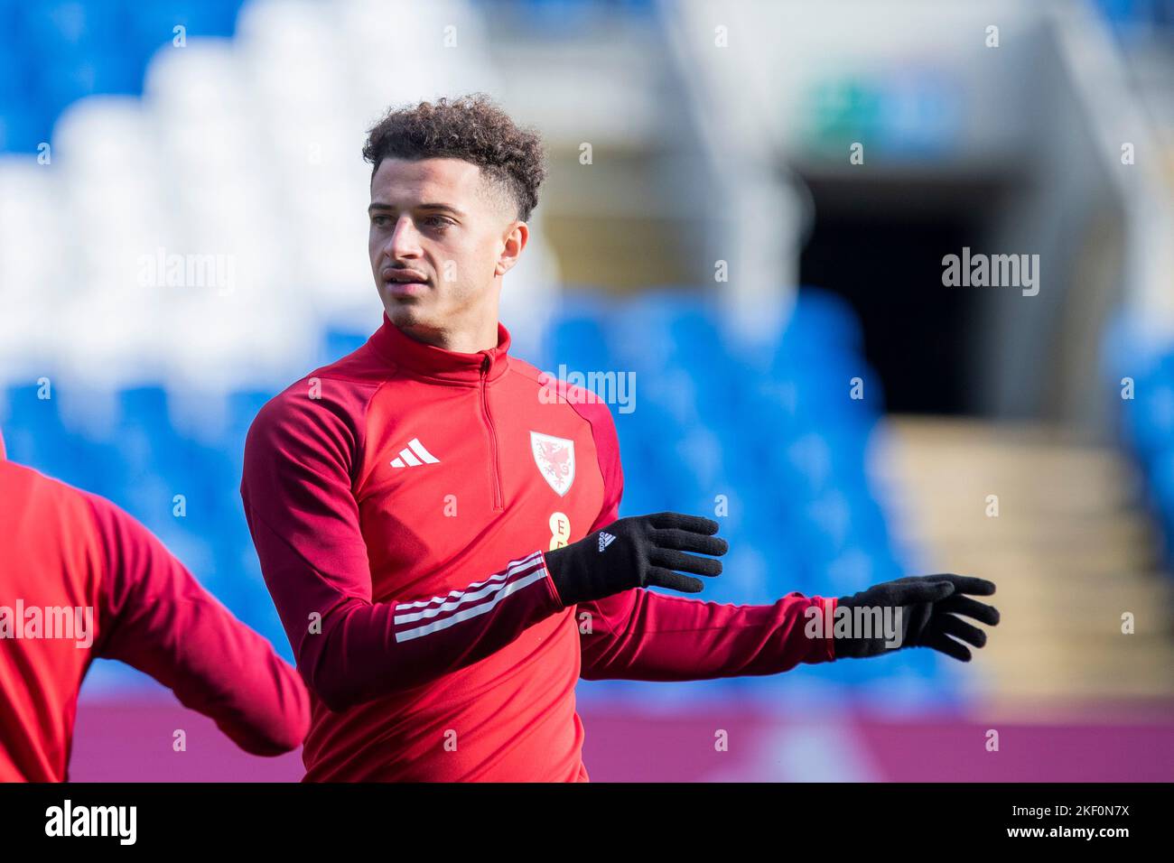 Cardiff, Wales, UK. 15th Nov, 2022. Ethan Ampadu during Wales national ...