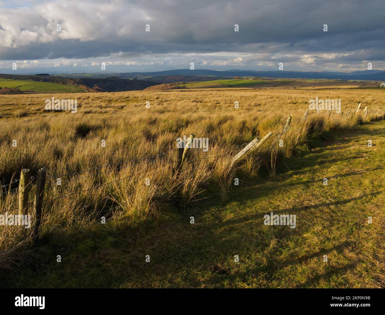 The view north from Goodber Common above Roeburndale in The Forest of ...