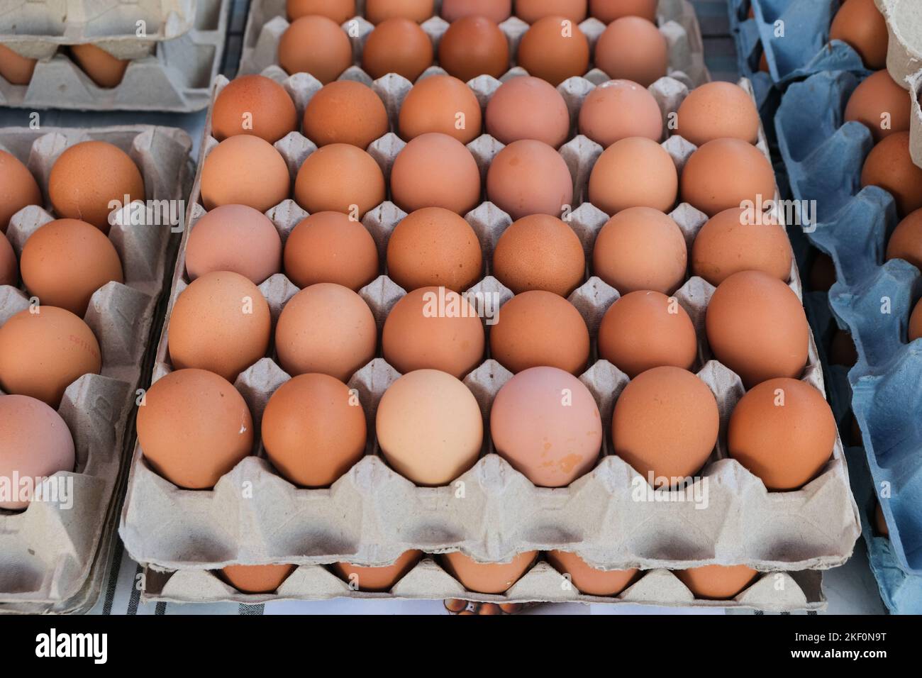 Fresh chicken tray hi-res stock photography and images - Alamy