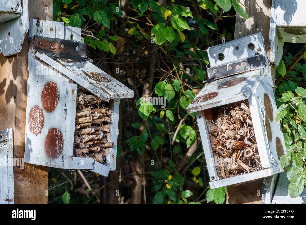 'Insect hotel' boxes in Sunnyside Community Gardens, Islington Stock ...