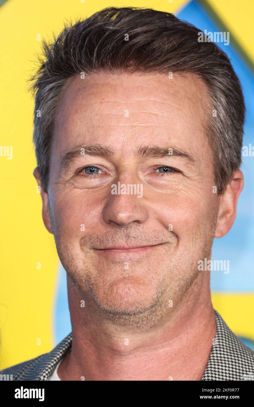 LOS ANGELES, CALIFORNIA, USA - NOVEMBER 14: American actor and ...